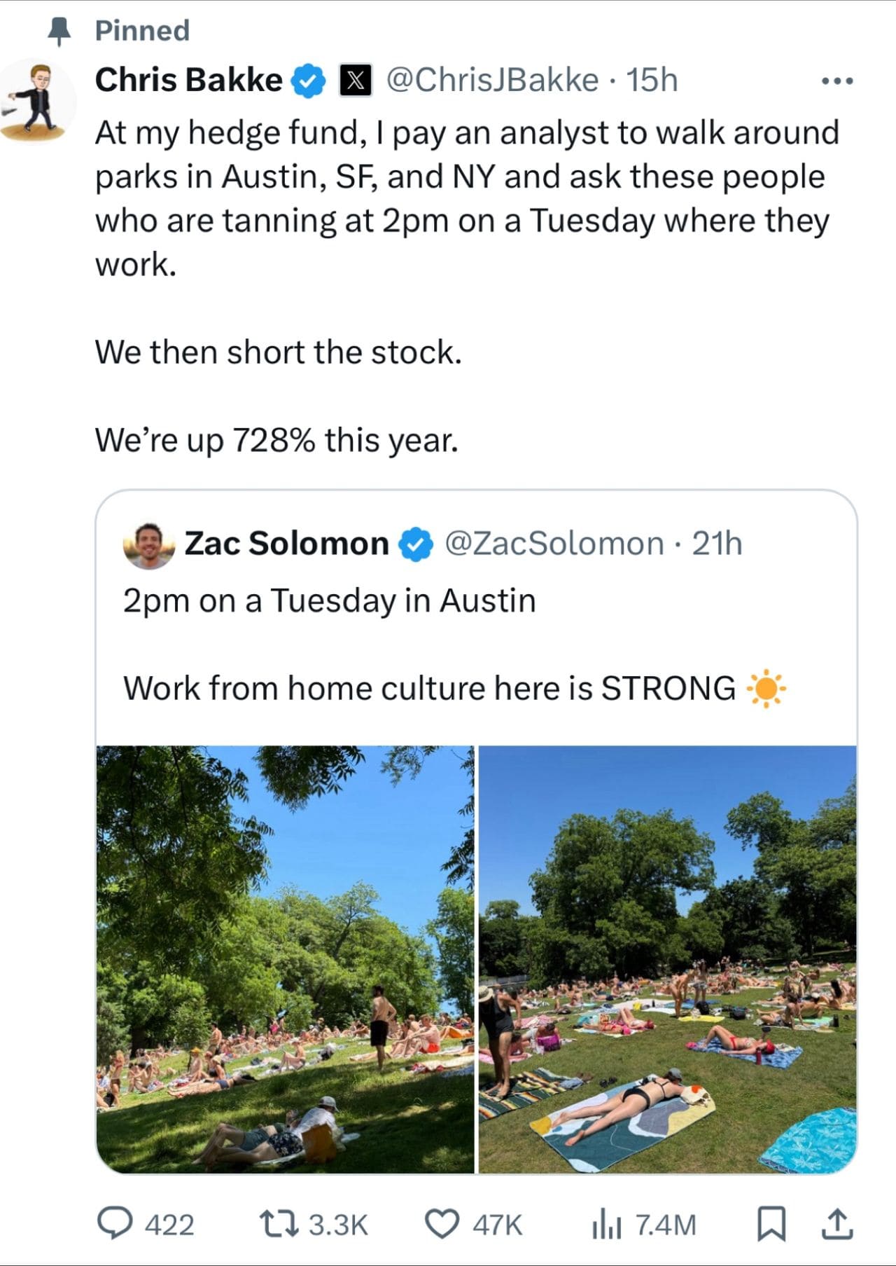 Work from Home USA 2024: Remote Life in Parks and Productivity